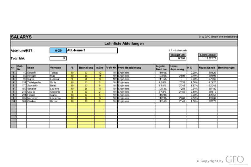 Salarys | GFO | Unternehmensberatung